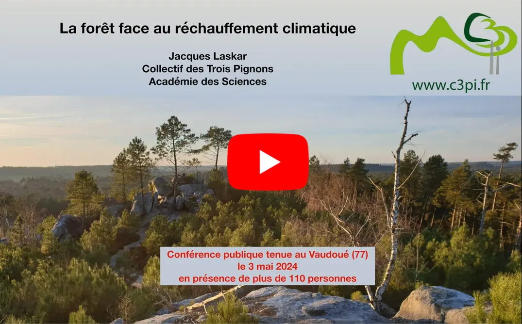 Sauvegarde Forêts Île-de-France