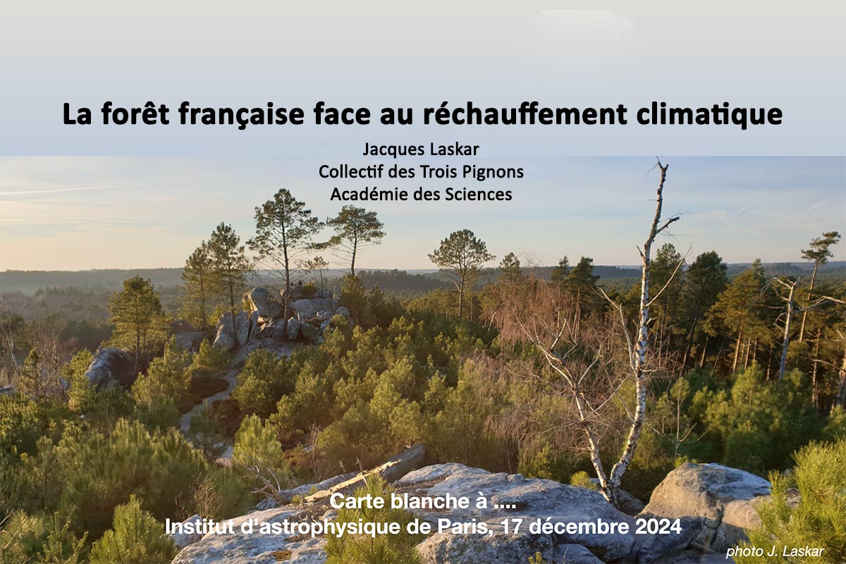La forêt française face au réchauffement climatique : Jacques Laskar